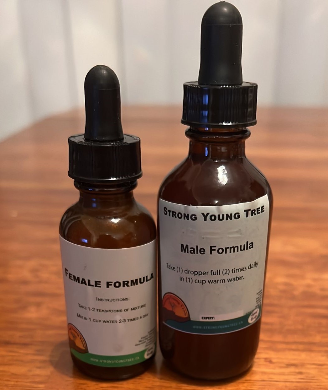 Services – Strong Young Tree Touching and Healing Lives